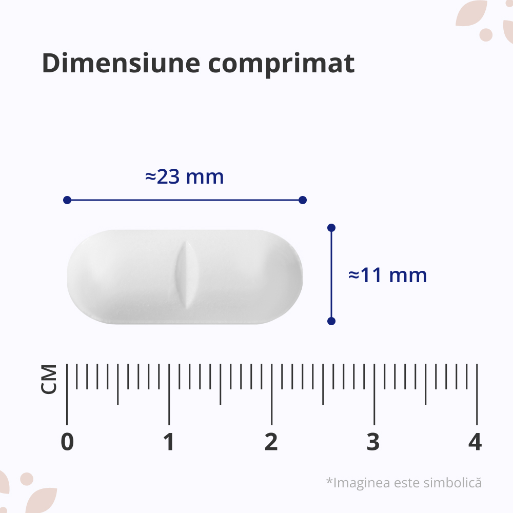 3x Creatina monohidrat 3000 mg, total 540 de comprimate - HealthyWorld.ro